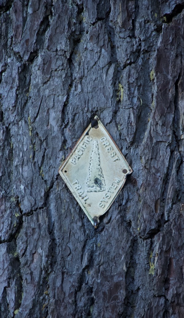 2022 PCT Section J | F4 Photography