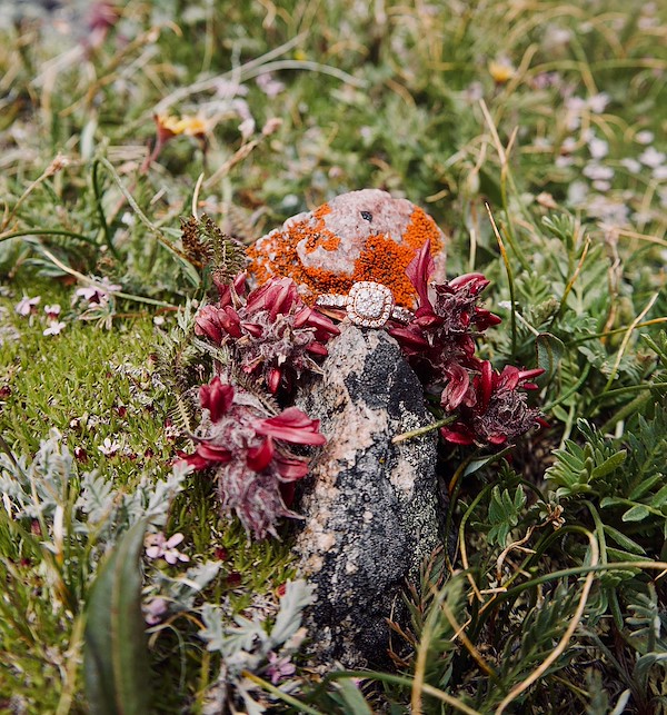 Engagement Gallery - Rustic Roads Photography