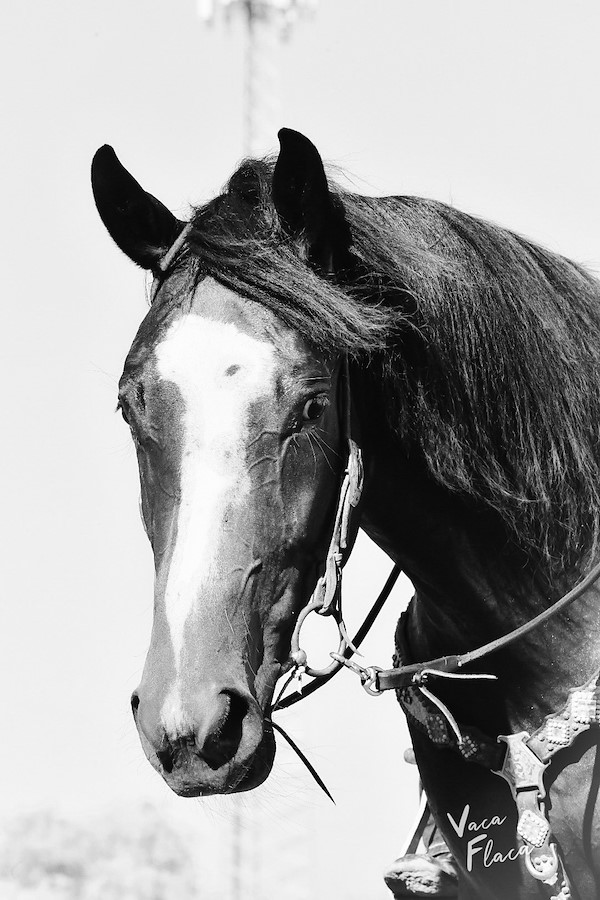 Home - VF Photography