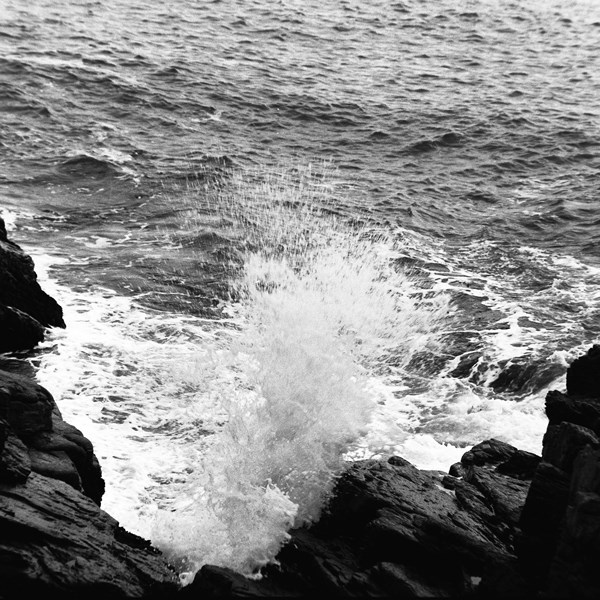 Island | Mike Butera