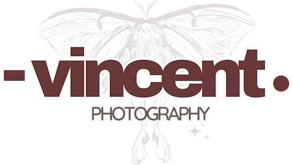 -VINCENT. PHOTOGRAPHY