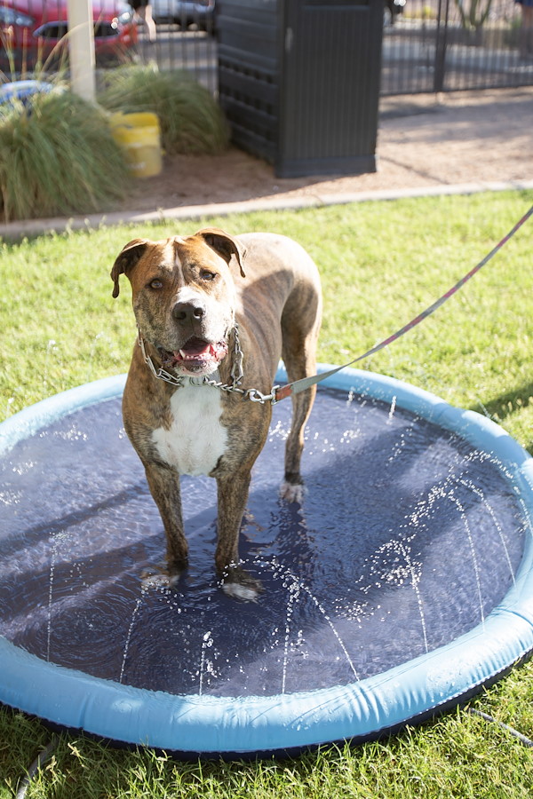 Good Vibes Photography