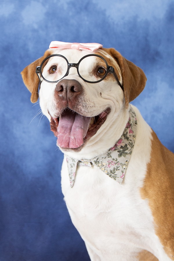 Good Vibes Photography