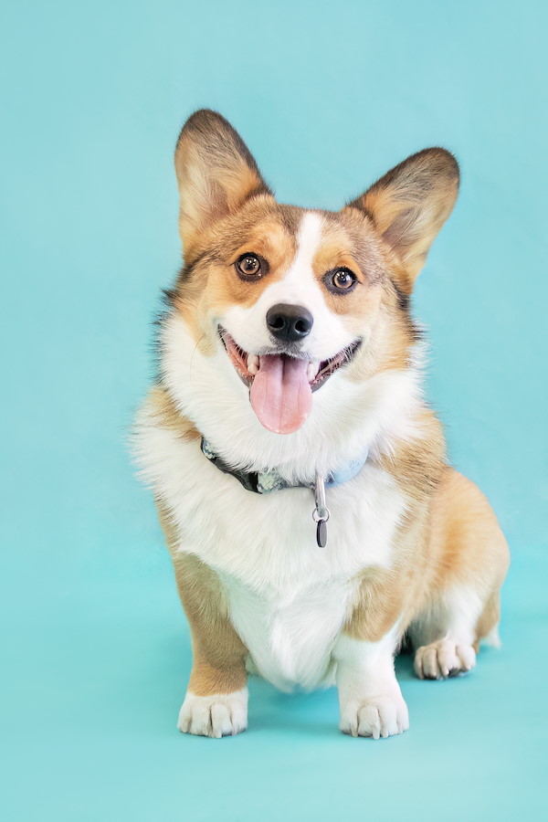 Good Vibes Photography