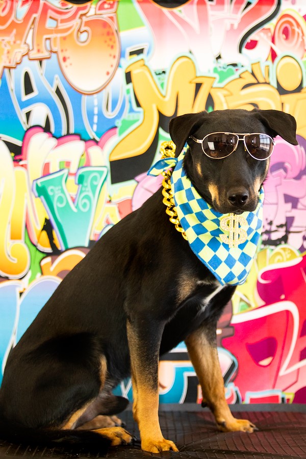 Good Vibes Photography